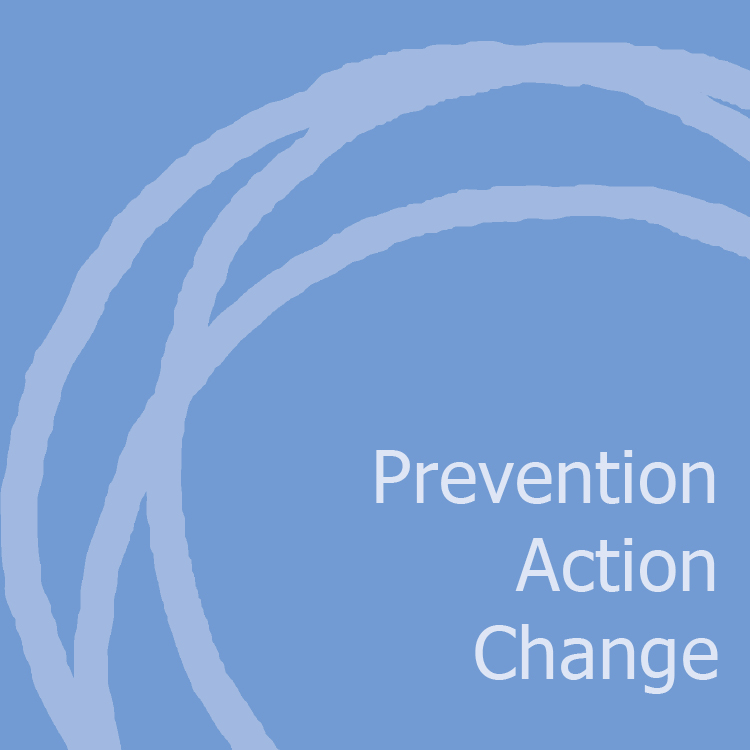 Prevention. Action. Change. – Building Skills to End Violence